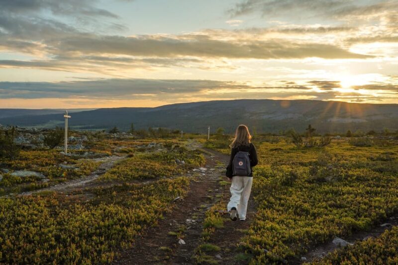 Arctic Wilderness Hike from Rovaniemi (Midnight sun/Sunset) - The Sum Up: Why Choose This Arctic Wilderness Hike?