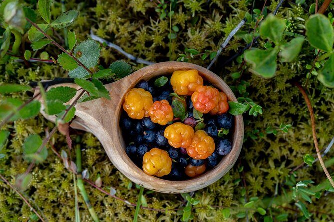 Arctic Wilderness Hike with Fire-making - Introduction: An Authentic Arctic Learning Experience