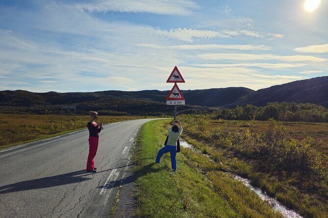 Arctic Wildlife and Fjord Sightseeing - Final Thoughts