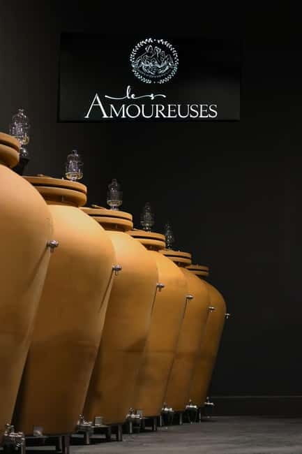 Ardèche: Cellar tour and tasting of 15 wines - Introduction