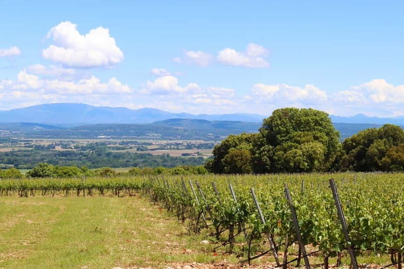 Ardèche: Cellar tour and tasting of 15 wines - FAQ