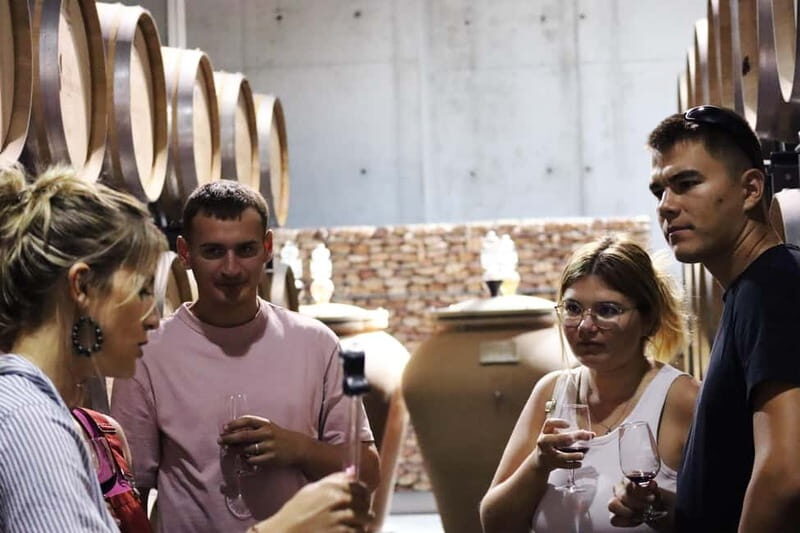Ardèche: Wine workshop at Domaine les Amoureuses - An Authentic Glimpse into the World of French Wine