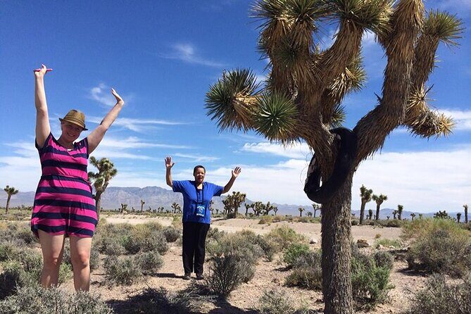 Area 51 Day Tour from Las Vegas with Alien and UFO Hotspots - An Honest Look at the Area 51 Day Tour