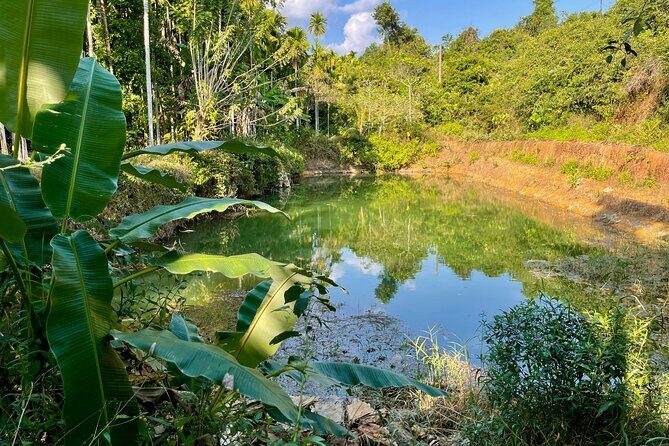 Areca Plantation Walk & Heritage Home visit at Areca County - Introduction