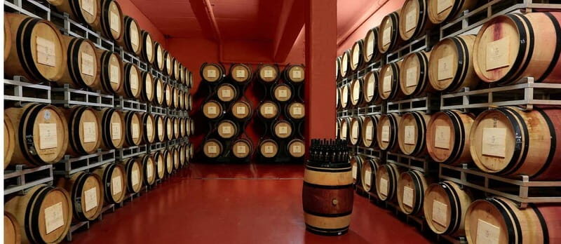 Arezzo Experience: Winery Tour and Wine Tasting - Key Points