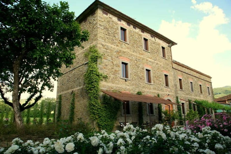 Arezzo: Vertical Tasting of Merlot Wines - Key Points
