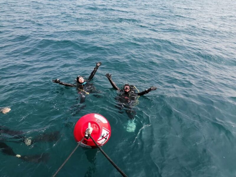 Argelès-sur-Mer : first dive in the Marine Natural Park - Authentic Insights & Real Experiences
