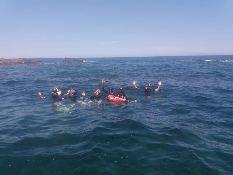 Argelès-sur-Mer: snorkeling into the Marine Natural Park - An in-depth look at the snorkeling tour from Argelès-sur-Mer