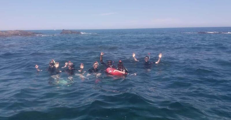 Argelès-sur-Mer: snorkeling into the Marine Natural Park - The overall value of this snorkeling experience in Argelès-sur-Mer