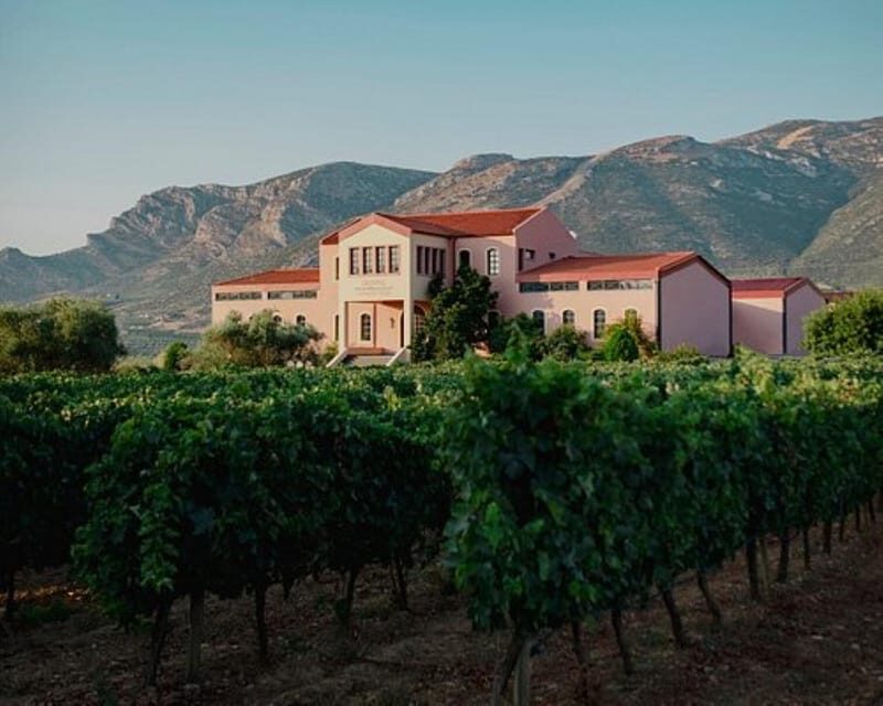 Argo Cultural Arts and Tastings Private Tour - The Sum Up