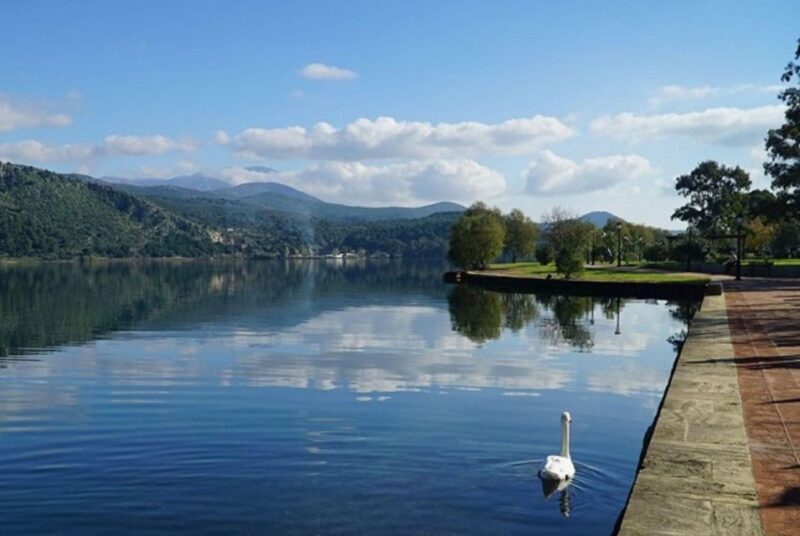 Argostoli Walking Tour - The Town's Tale on Foot - The Allure of Argostoli: Setting the Scene