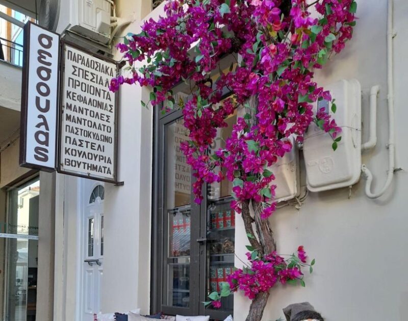 Argostoli Walking Tour - The Town's Tale on Foot - Who Should Consider This Tour?