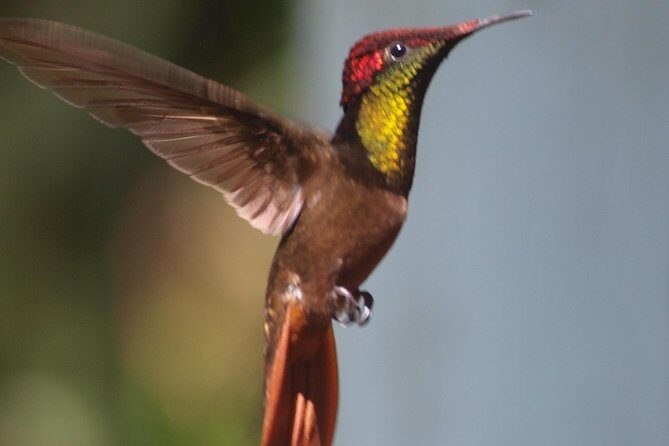 Argyle Waterfall with Adventure Farm - An In-Depth Look at the Tour Experience