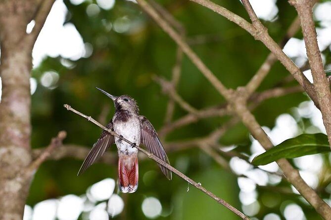 Argyle Waterfall with Adventure Farm - Practical Tips for Travelers