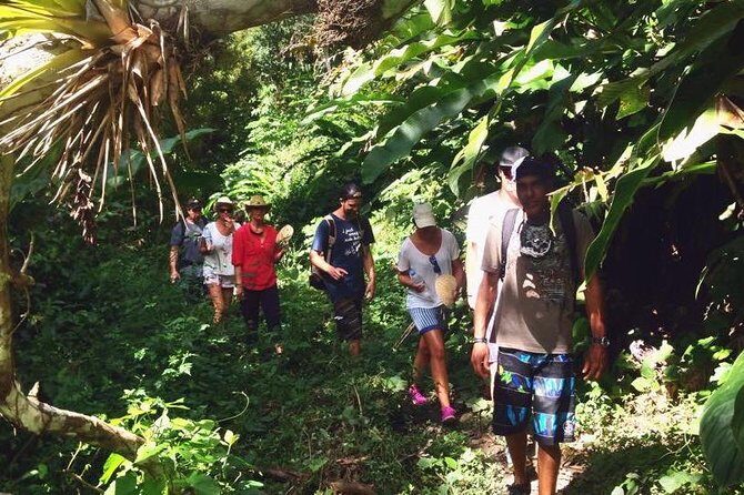 Argyle Waterfall with Adventure Farm - The Final Word