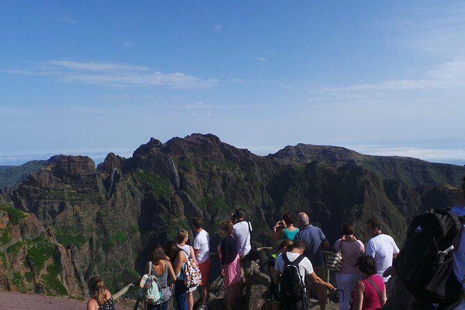 Arieiro Peak and Cristo Rei 4x4 Experience + Dolphins Watching - The Authentic Touch and Traveler Insights