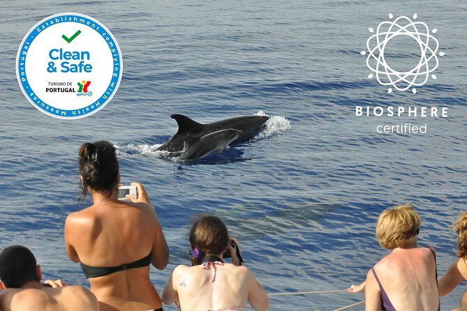 Arieiro Peak and Cristo Rei 4x4 Experience + Dolphins Watching - Practicalities and Tips