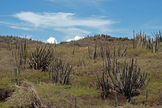 Arikok Adventurous Hiking Experience in Aruba - FAQ