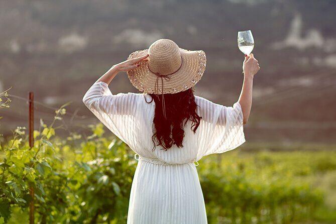 ARISMARI  Vineyard Tour & Wine Tasting - A Close Look at the Tour Experience