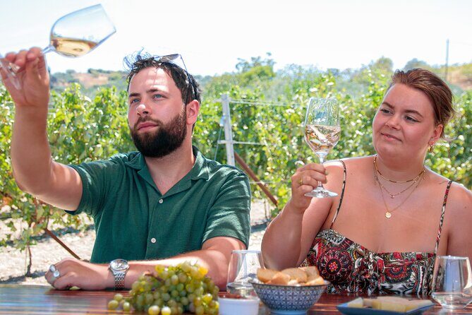 ARISMARI  Vineyard Tour & Wine Tasting - The Sum Up