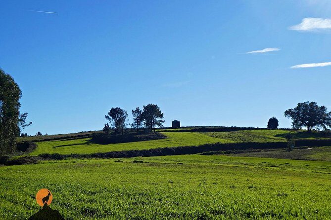 Arista Tour - Penacova Windmills and Landscapes (noon) - FAQ