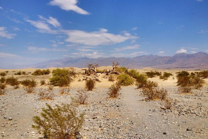 Arizona Ghost Towns and Wild-West Day Trip from Las Vegas - Final Thoughts: Who Should Consider This Tour?