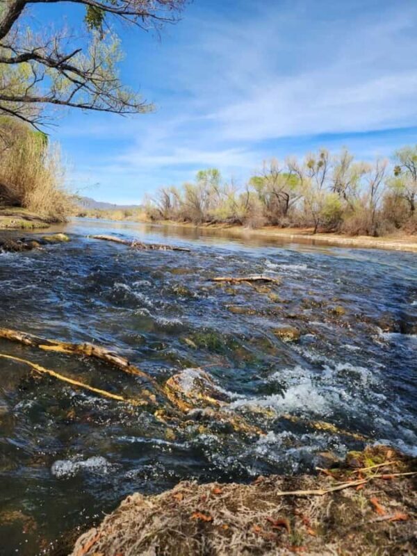 Arizona: Great Western Trail Jeep Tour at Rio Verde - The Real Value: Why Choose This Tour?