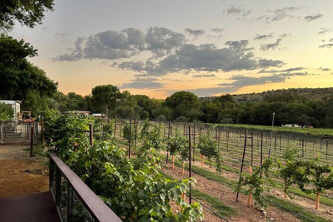 Arizona Winery All-Inclusive Tour with Lunch & Tastings - Discover the Sedona Wine Scene with Ease: A Review of the Arizona Winery All-Inclusive Tour