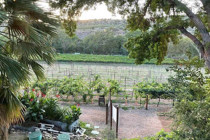 Arizona Winery All-Inclusive Tour with Lunch & Tastings - Why This Tour Shines