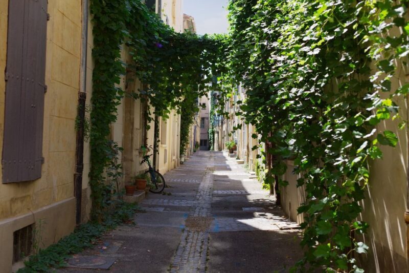 Arles: Private Guide Tour - Explore History & Culture - Key Points