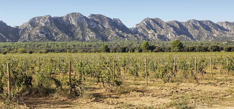 Arles, Saint-Rémy & Les Baux De Provence -7 hours - A Closer Look at the Itinerary and What You’ll Experience