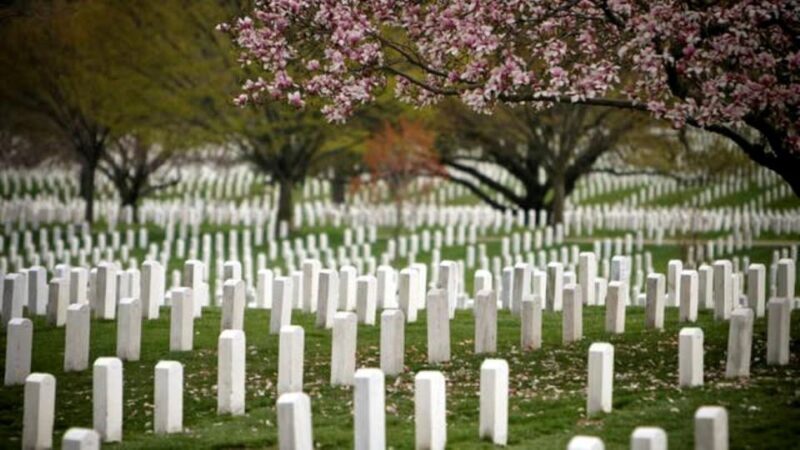 Arlington Cementary & Guard Ceremony with Iowa Jima Memorial - Practical Details: Timing, Meeting Points, and Tips