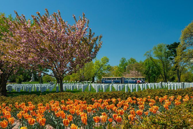 Arlington National Cemetery Hop-On Hop-Off Tour - Analyzing the Value and Experience