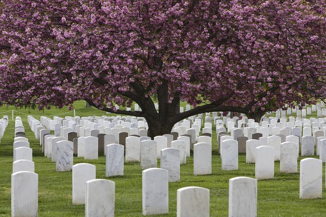Arlington National Cemetery Hop-On Hop-Off Tour - The Sum Up: Who Will Appreciate This Tour?