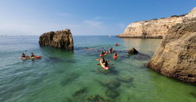 Armação de Pêra: 2-Hour Wild Beaches and Caves Kayak Tour - Final Thoughts: Who Should Consider This Tour
