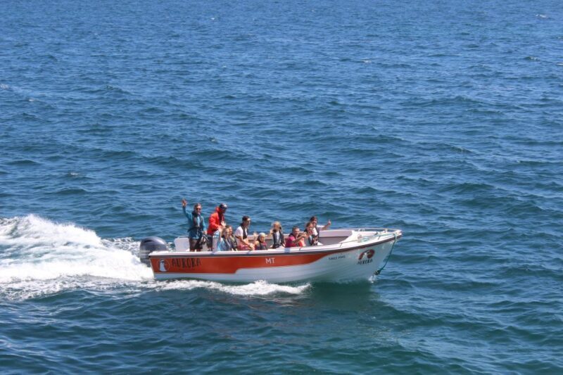Armação de Pêra: Guided Boat Tour of Benagil's 15 Best Caves - Who Is This Tour Best For?