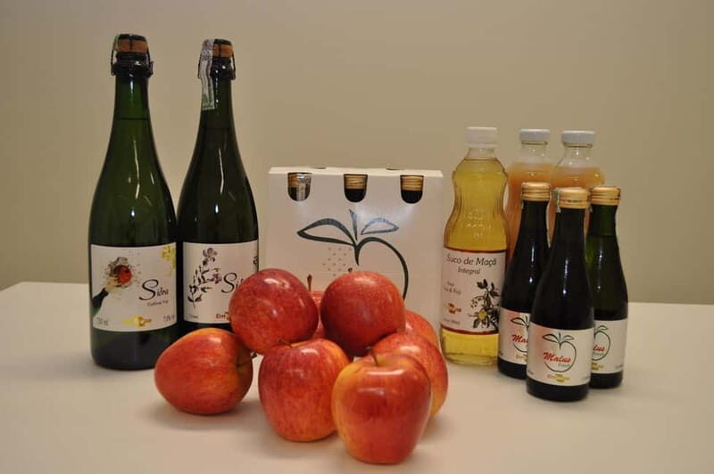 Armamar: Apple Orchard Tour with Lunch and Tastings - Who Is This Tour Best For?