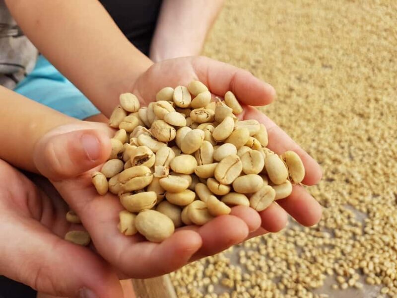 Armenia, Quindío: Traditional coffee farm tour with roasting and transportation - Key Points