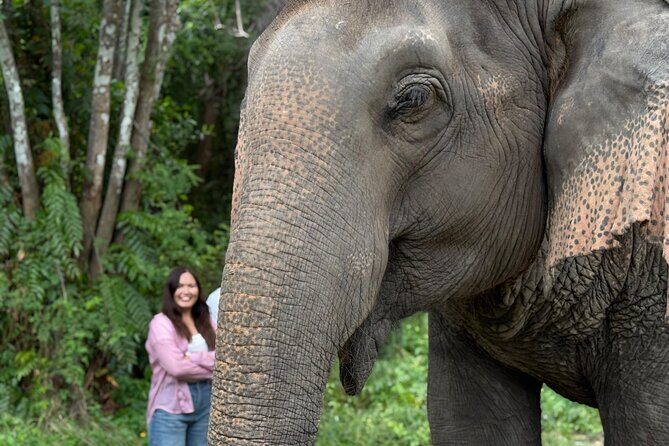 Army Jeep Jungle Safari and Elephant Freedom Rescue Centre Tour - Key Points