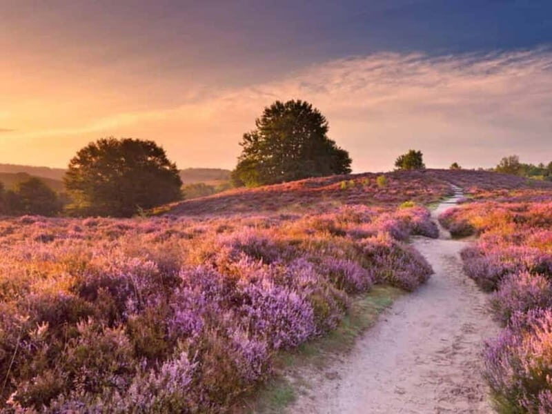 Arnhem: 8-hour culinary car tour of Veluwe - Exploring the Veluwe: A Natural and Cultural Crossroads