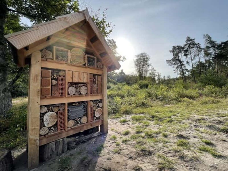 Arnhem: 8-hour culinary car tour of Veluwe - Castles and Cultural Gems