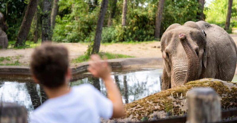 Arnhem: Burgers' Zoo Entry Ticket - What to Expect: A Closer Look at Burgers Eco-Displays