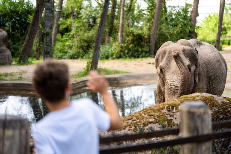 Arnhem: Burgers' Zoo Entry Ticket - Authentic Experiences and Honest Impressions