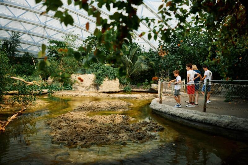 Arnhem: Burgers' Zoo Entry Ticket - Who Will Love This Tour?
