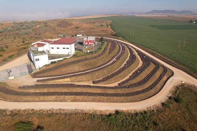 Aroma sampling of 5 Bulgarian Lavender varieties at DiVes Winery - Practical Details and Tips