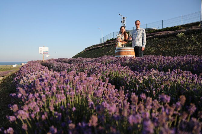 Aroma sampling of 5 Bulgarian Lavender varieties at DiVes Winery - FAQ