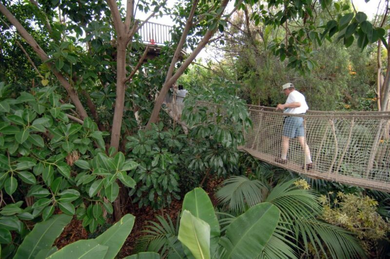 Arona: Entry Ticket to Tenerife's Jungle Park Zoo - The Authentic Experience: What Visitors Are Saying