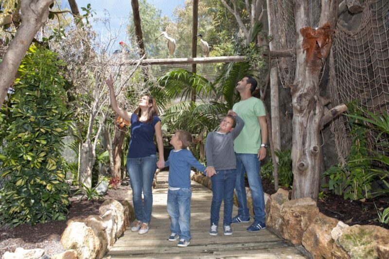 Arona: Entry Ticket to Tenerife's Jungle Park Zoo - Who Is This Experience Best Suited For?