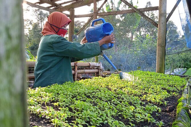 Around Bromo Farming Experience - Introduction