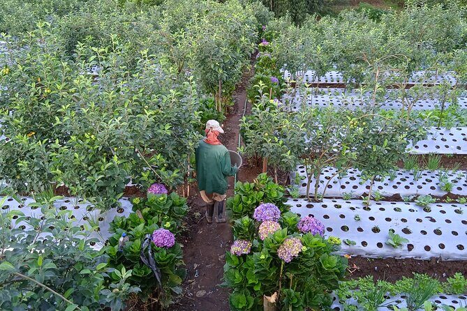 Around Bromo Farming Experience - Key Points